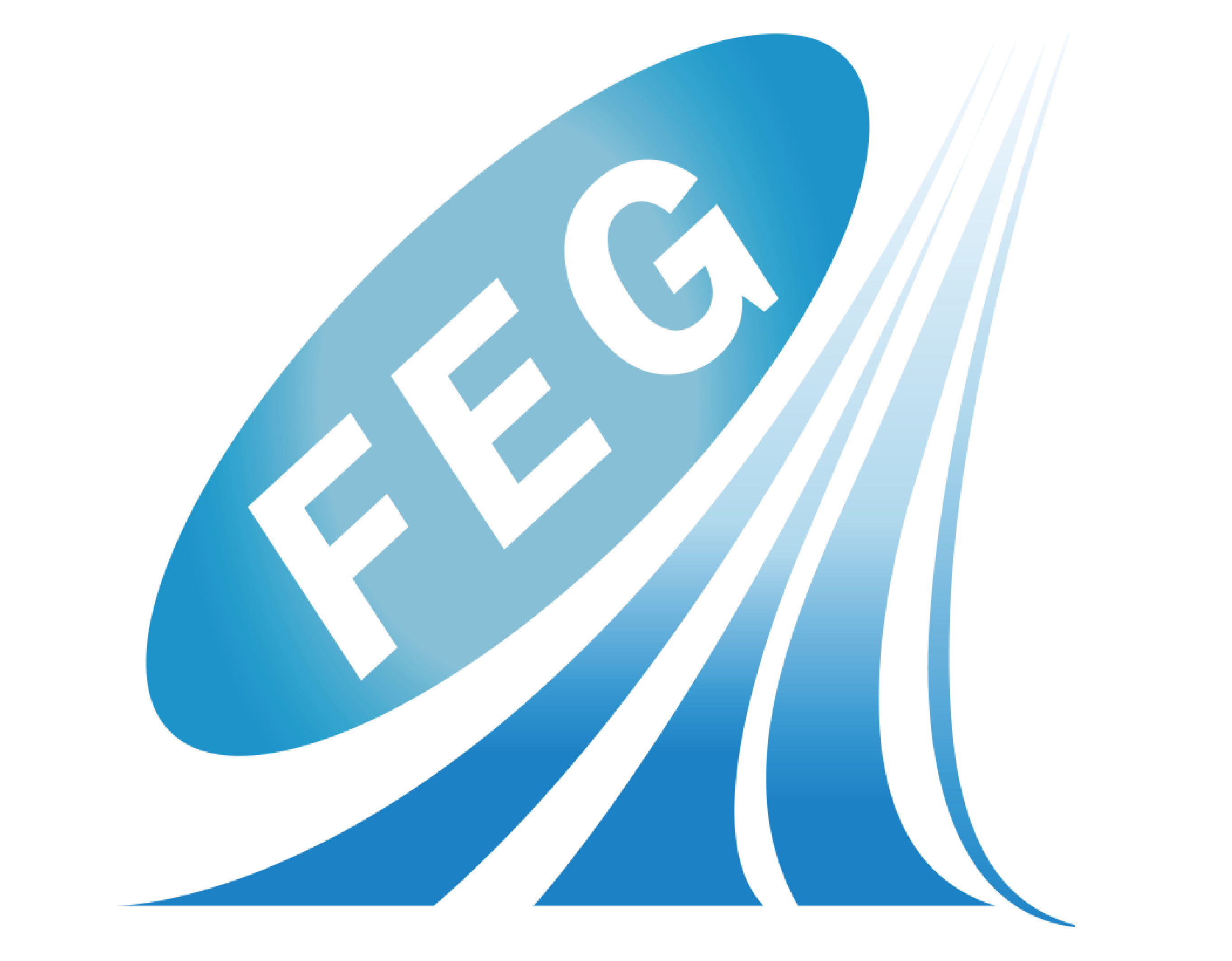 Home | Virtual FEG